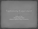 PPT - Taphonomy PowerPoint Presentation, free download - ID:6855905
