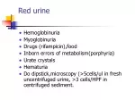 PPT - Urine analysis PowerPoint Presentation, free download - ID:632788