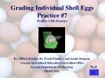 PPT - Poultry Carcass Grading PowerPoint Presentation, free download ...