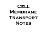 PPT - Cell Membrane Transport Notes PowerPoint Presentation, free ...