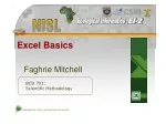 PPT - Excel Basics PowerPoint Presentation, free download - ID:6847451
