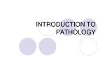 PPT - INTRODUCTION TO PATHOLOGY PowerPoint Presentation, free download ...