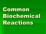 PPT - Biochemical Reactions PowerPoint Presentation, free download - ID ...