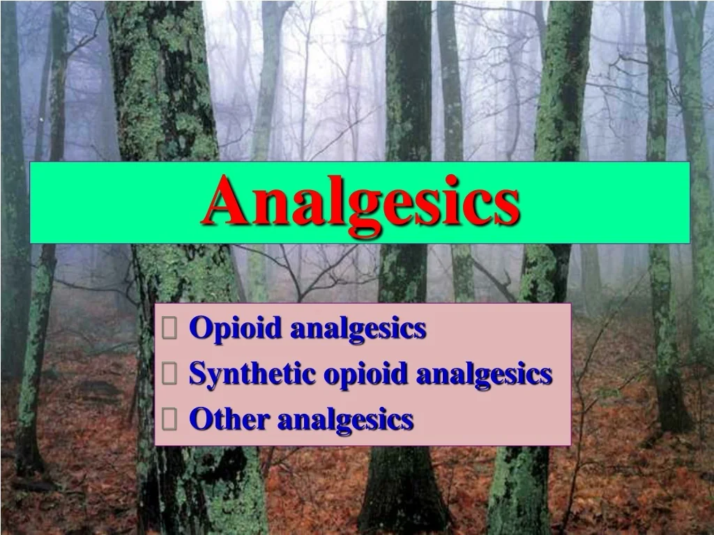 PPT - Opioid Analgesics: Uses and Side Effects PowerPoint Presentation ...