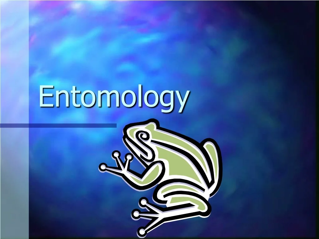 PPT - Entomology PowerPoint Presentation, free download - ID:9507288