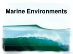 PPT - Marginal Marine and Open-Shelf Environments PowerPoint ...