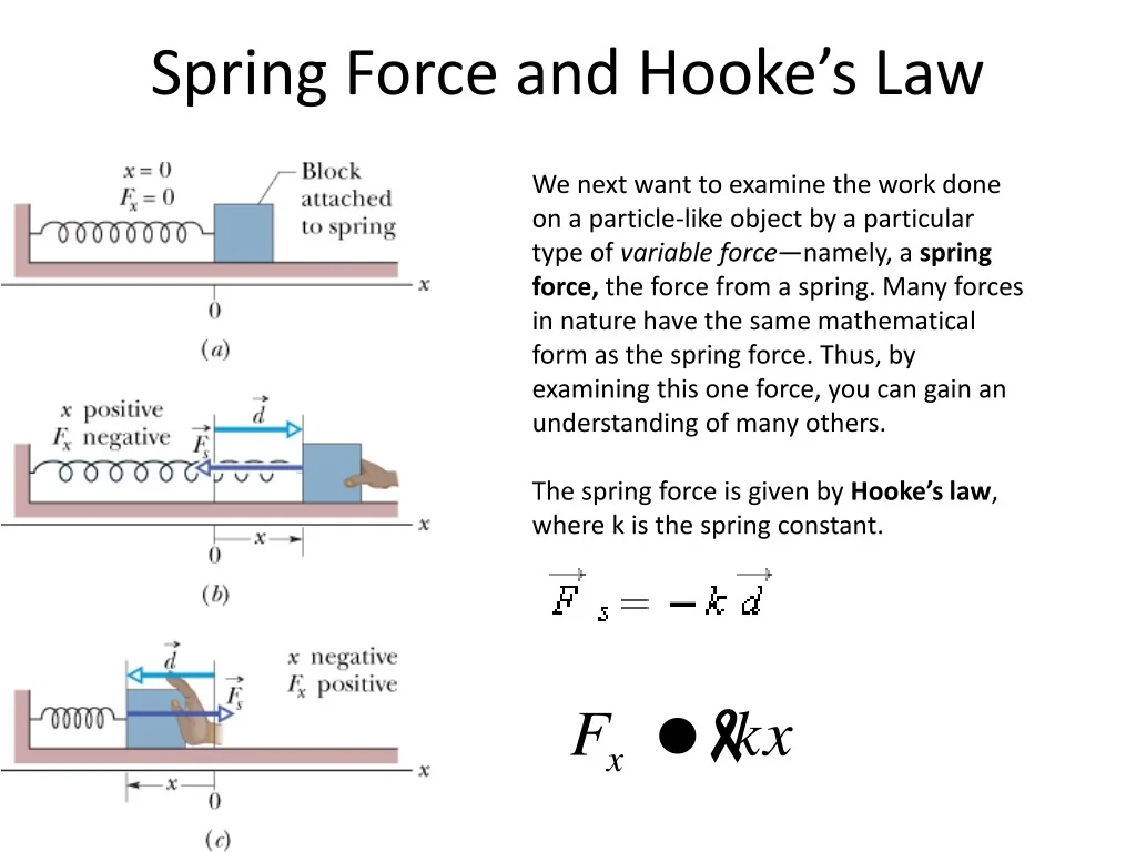 PPT - Understanding Spring Force and Hooke’s Law in Physics PowerPoint ...