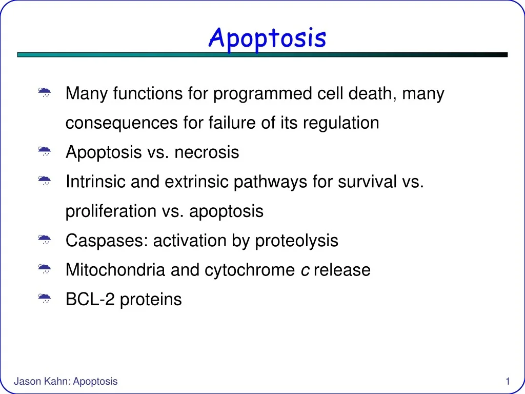 PPT - Apoptosis: Programmed Cell Death Mechanisms PowerPoint ...