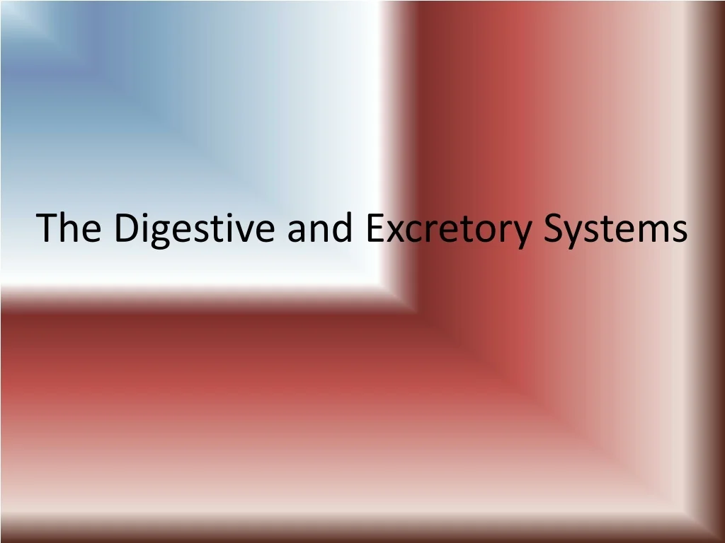 PPT - The Digestive and Excretory Systems PowerPoint Presentation, free ...