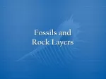 PPT - Rock Layers PowerPoint Presentation, free download - ID:3146386