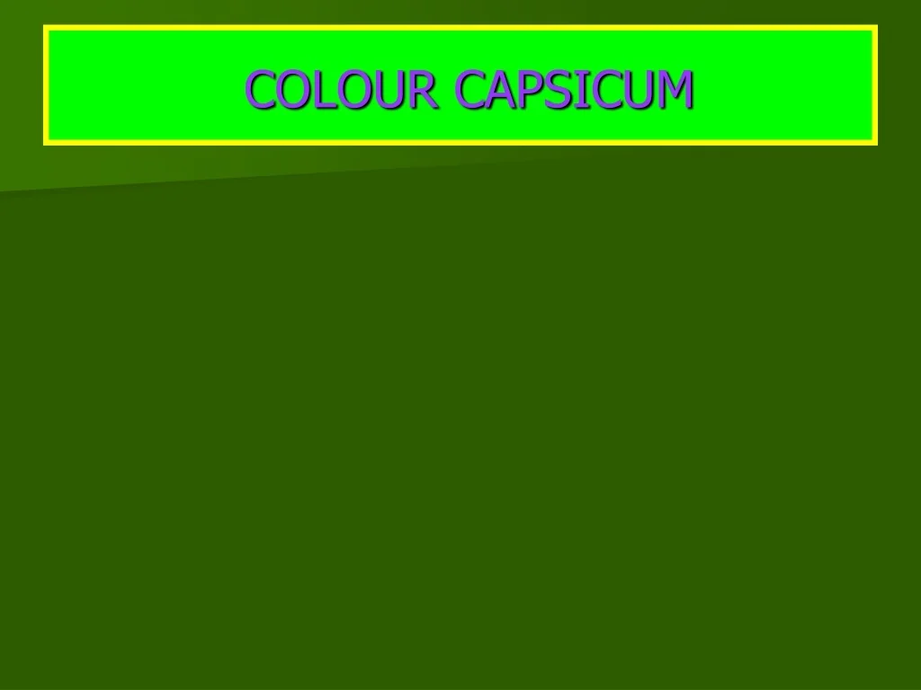 PPT - Capsicum Cultivation Guide: Temperature, Humidity, and Plant Care ...