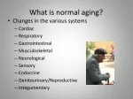 PPT - What is Aging PowerPoint Presentation, free download - ID:333386