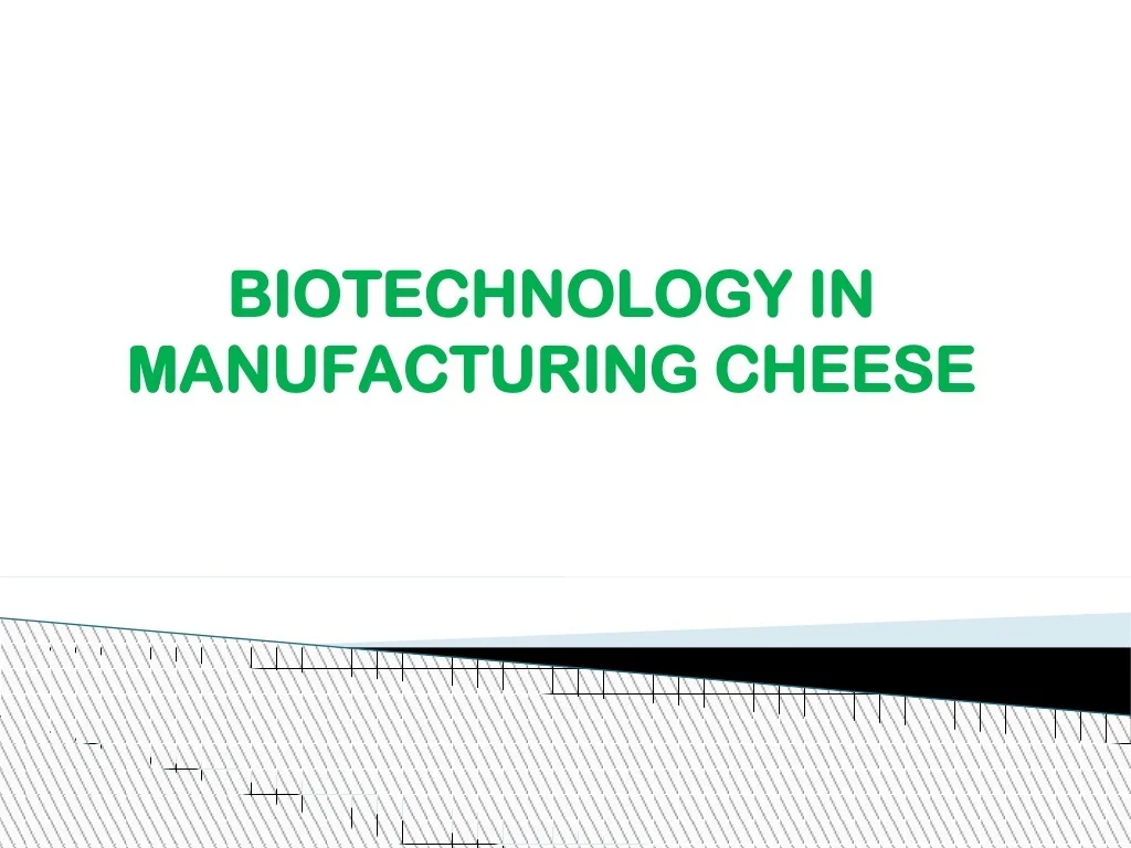PPT - Biotechnology in Cheese Manufacturing: Process & Benefits ...