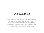 PPT - SC.912.L.17.20 PowerPoint Presentation, free download - ID:9640116