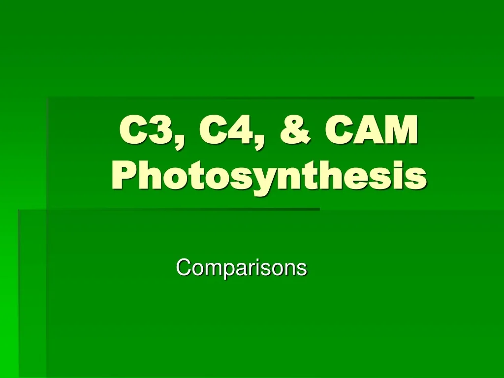 PPT - Photosynthesis in C3, C4, and CAM Plants: A Comparative Analysis ...