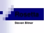PPT - The Rosetta Stone PowerPoint Presentation, free download - ID:6447092