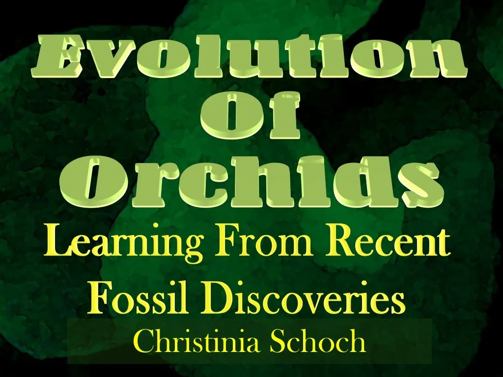PPT - Evolution Of Orchids PowerPoint Presentation, free download - ID ...