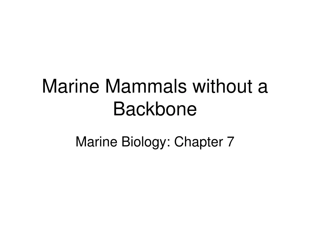 PPT - Marine Mammals without a Backbone PowerPoint Presentation, free ...