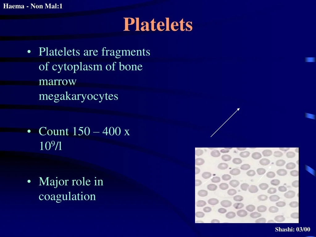 PPT - Platelets PowerPoint Presentation, free download - ID:9517995