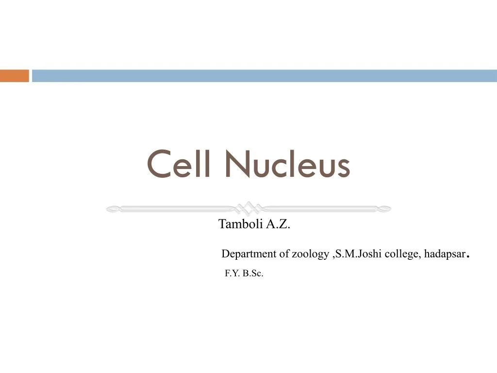 PPT - Exploring the Cell Nucleus: Structure and Functions PowerPoint ...