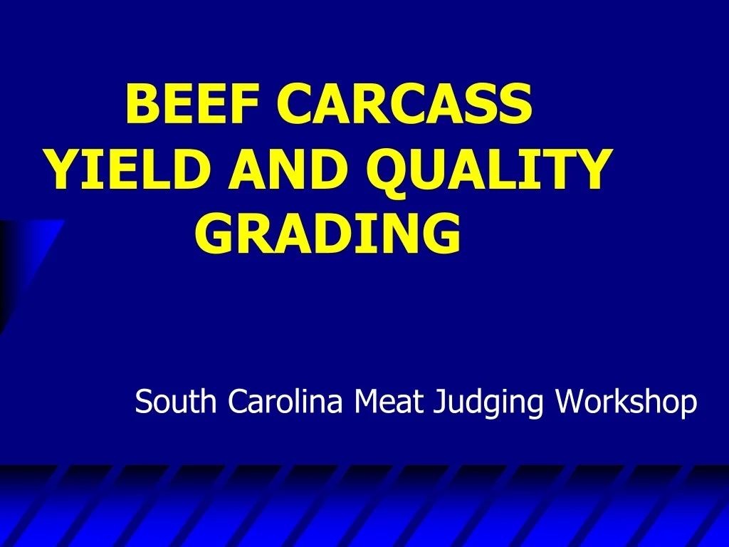 PPT - USDA Beef Carcass Grading for Quality Meat Judging Workshops ...