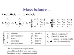 PPT - Chapter 3 Mass Balance PowerPoint Presentation, free download ...