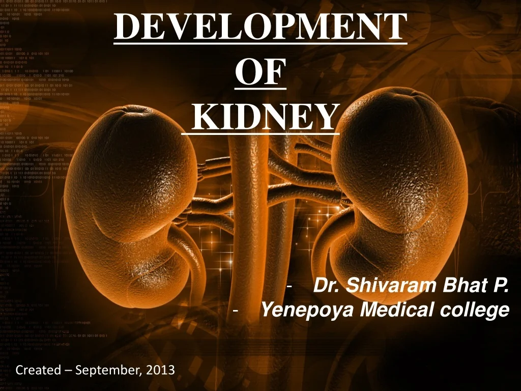 PPT - Comprehensive Overview of Kidney Development | Dr. Shivaram Bhat ...