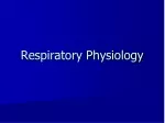 PPT - Respiratory Physiology PowerPoint Presentation, free download ...