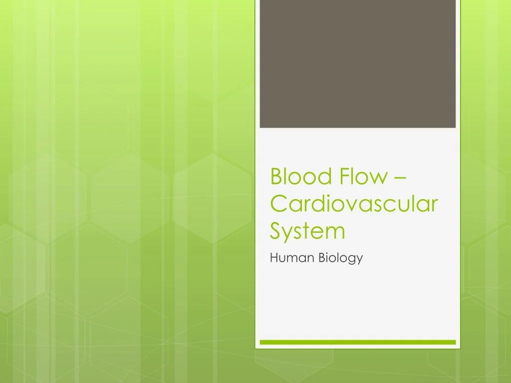 PPT - Blood Flow in the Cardiovascular System PowerPoint Presentation ...