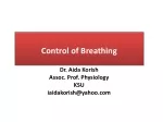 PPT - PHYSIOLOGY OF CONTROL OF BREATHING PowerPoint Presentation, free ...