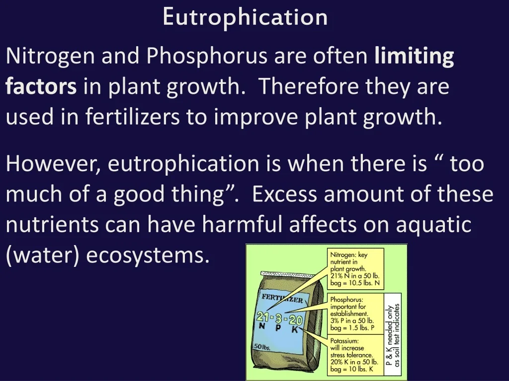 PPT - Eutrophication PowerPoint Presentation, free download - ID:9526553