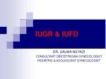 PPT - IUfd PowerPoint Presentation, free download - ID:2098547