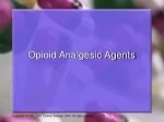 PPT - Pain and Analgesic Pathways PowerPoint Presentation, free ...
