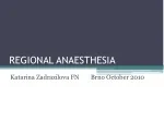 PPT - ANAESTHESIA ANATOMY PowerPoint Presentation, free download - ID ...