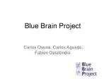 PPT - Blue brain PowerPoint Presentation, free download - ID:643556
