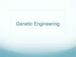 PPT - Genetic Engineering PowerPoint Presentation, free download - ID ...