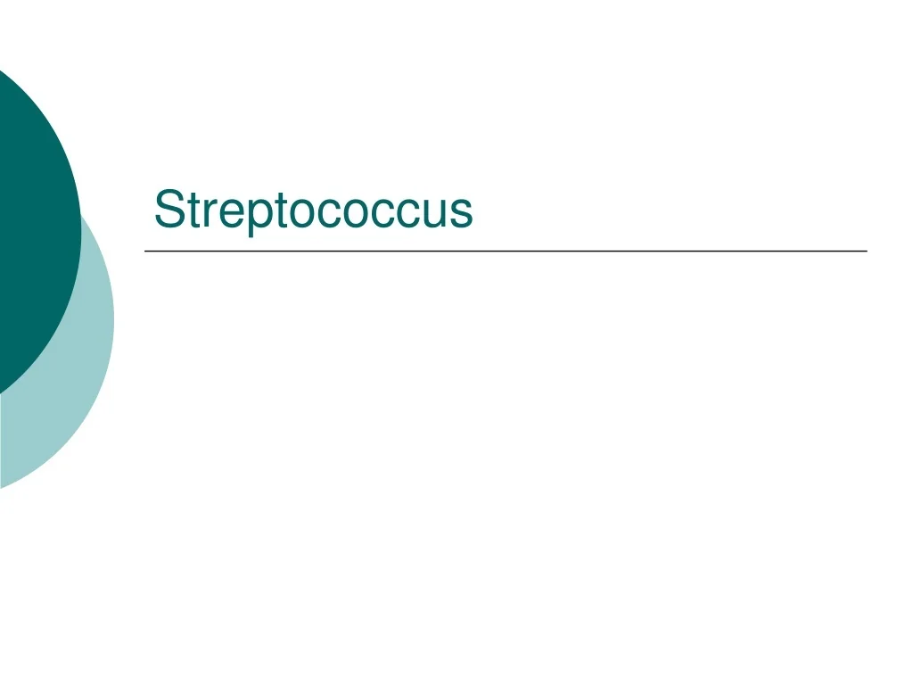 PPT - Streptococcus PowerPoint Presentation, free download - ID:9528574