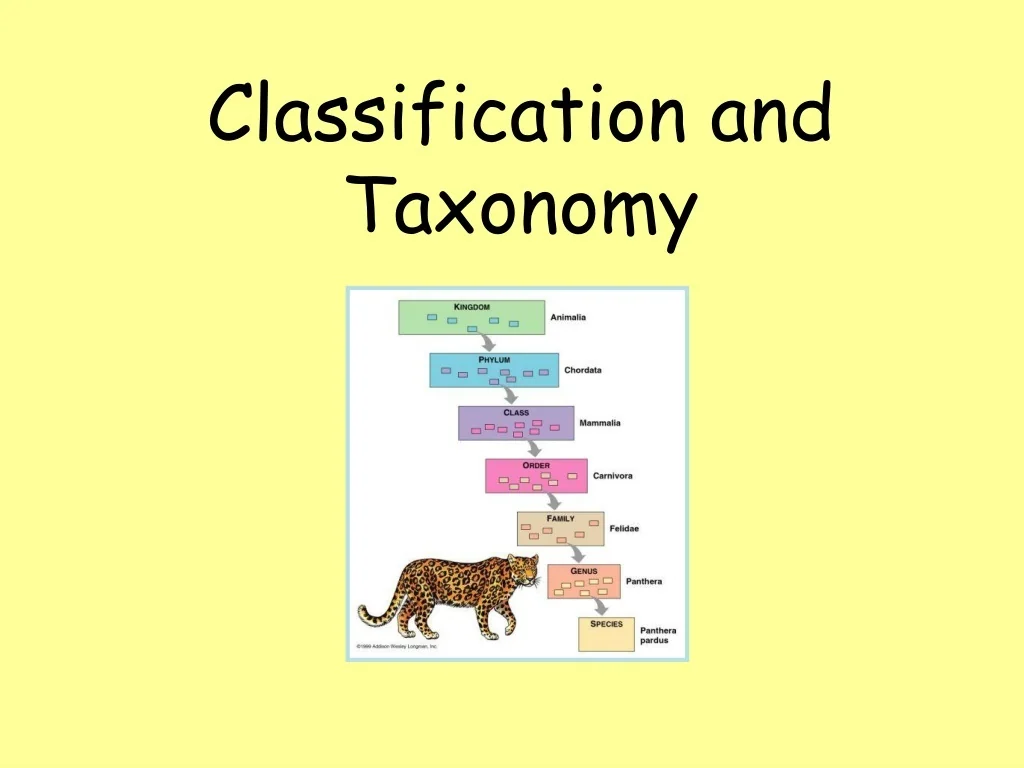 PPT - Classification and Taxonomy PowerPoint Presentation, free ...