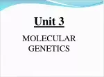 PPT - Unit 4 - Molecular Genetics PowerPoint Presentation, free ...