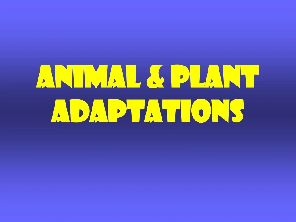 PPT - Survival Strategies: Animal & Plant Adaptations | Exploring ...