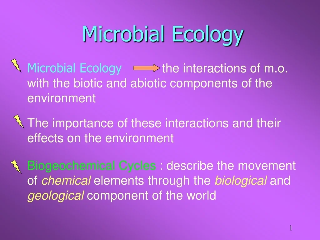 PPT - Microbial Ecology PowerPoint Presentation, free download - ID:9532438