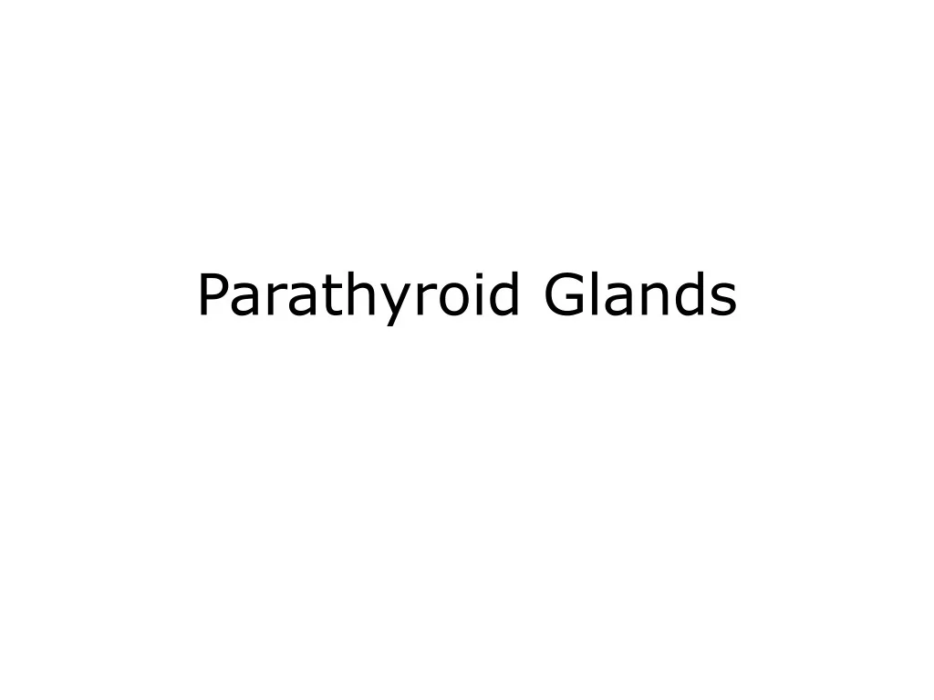 PPT - Parathyroid Glands PowerPoint Presentation, free download - ID ...