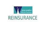 PPT - Reinsurance PowerPoint Presentation, free download - ID:1412710