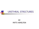 PPT - URETHRAL STRICTURES PowerPoint Presentation, free download - ID ...