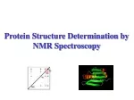 PPT - Protein NMR PowerPoint Presentation, free download - ID:2426489