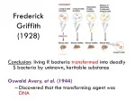 PPT - Frederick Griffith - 1928 PowerPoint Presentation, free download ...