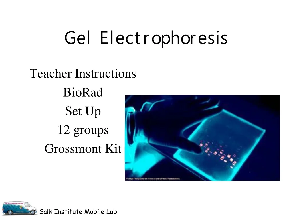 PPT - Gel Electrophoresis Teacher Guide - Set Up and Run Gels with ...