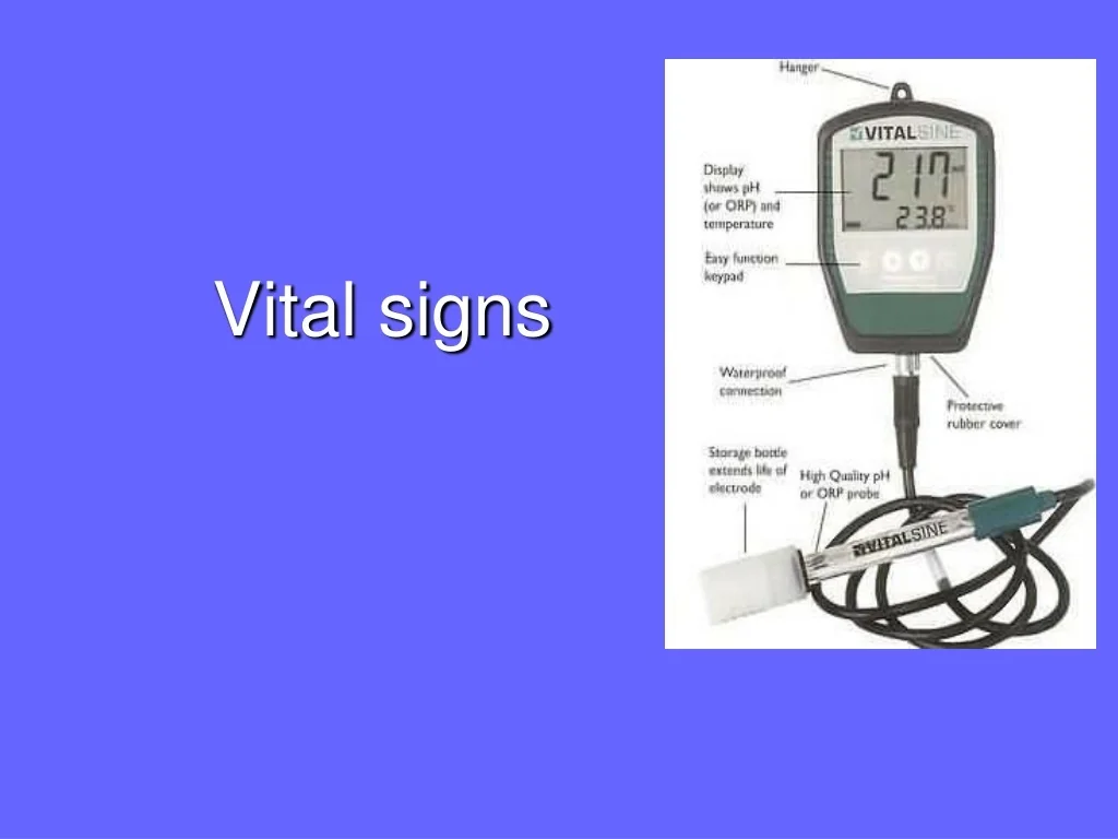 PPT - Vital signs PowerPoint Presentation, free download - ID:9539470