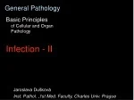 PPT - General Pathology PowerPoint Presentation, free download - ID:3595661