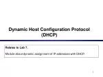 PPT - DYNAMIC HOST CONFIGURATION PROTOCOL (DHCP) PowerPoint ...